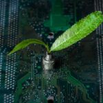 Technology is a Catalyst for a More Sustainable Future | Dell