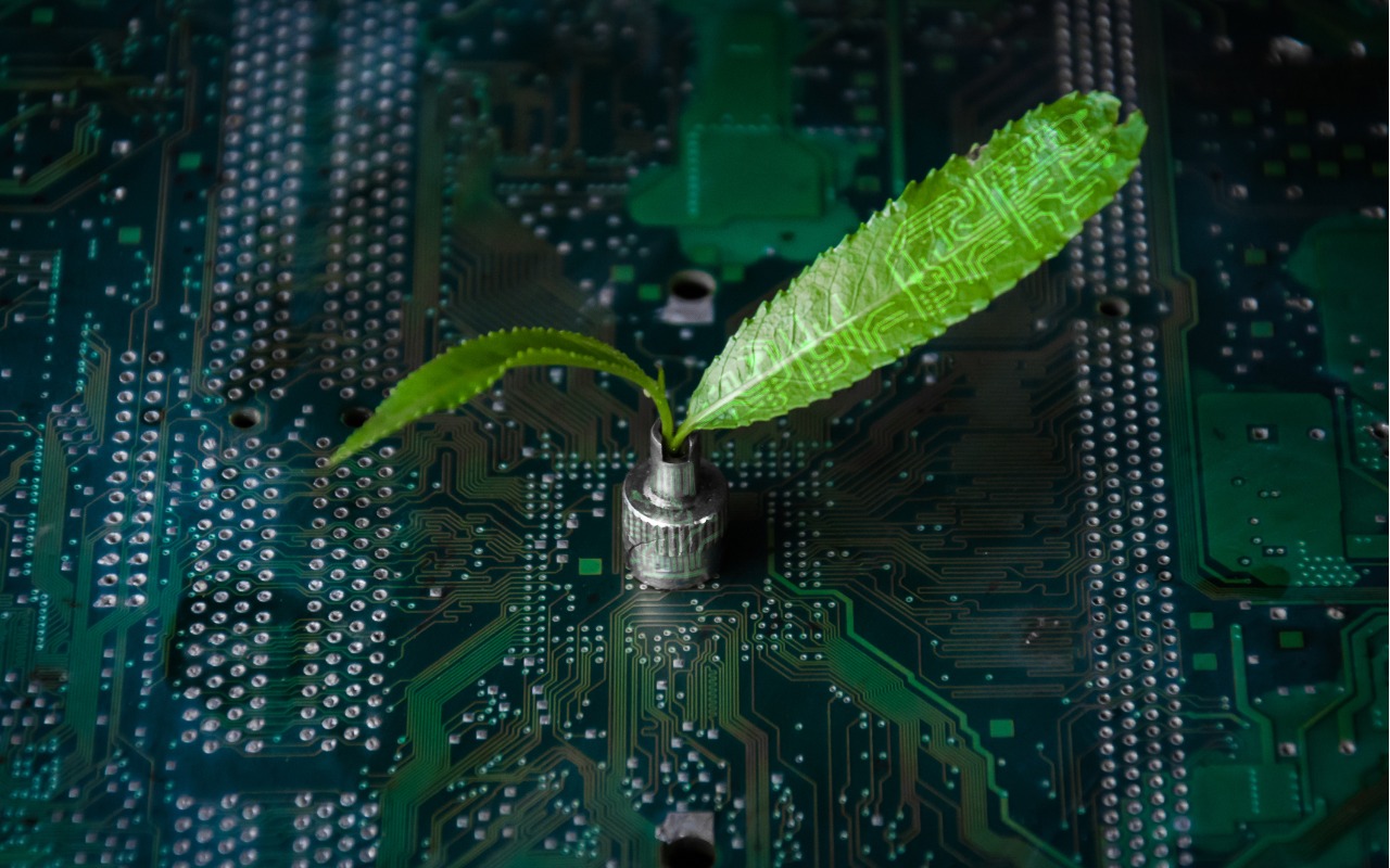 Technology is a Catalyst for a More Sustainable Future | Dell