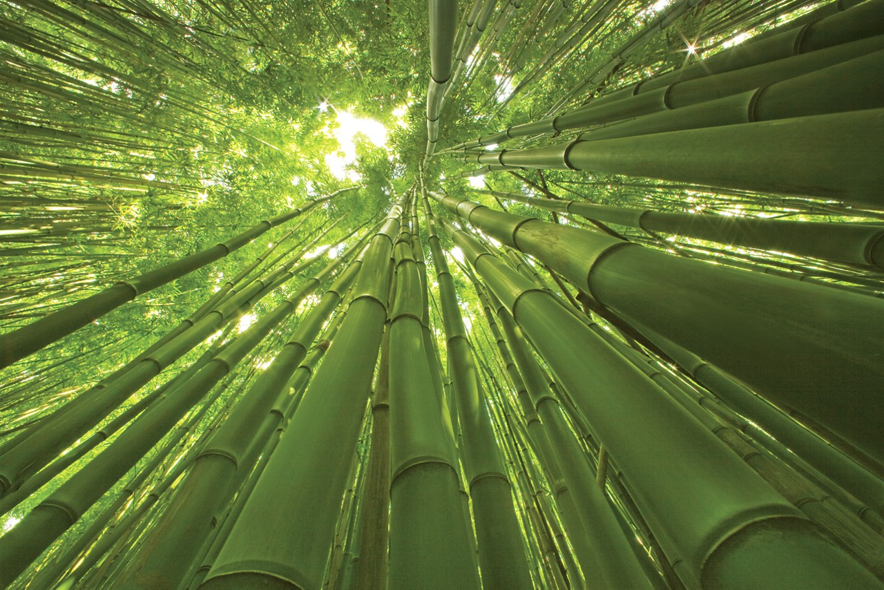 How to make IT and sustainable goals cohesive | Dell